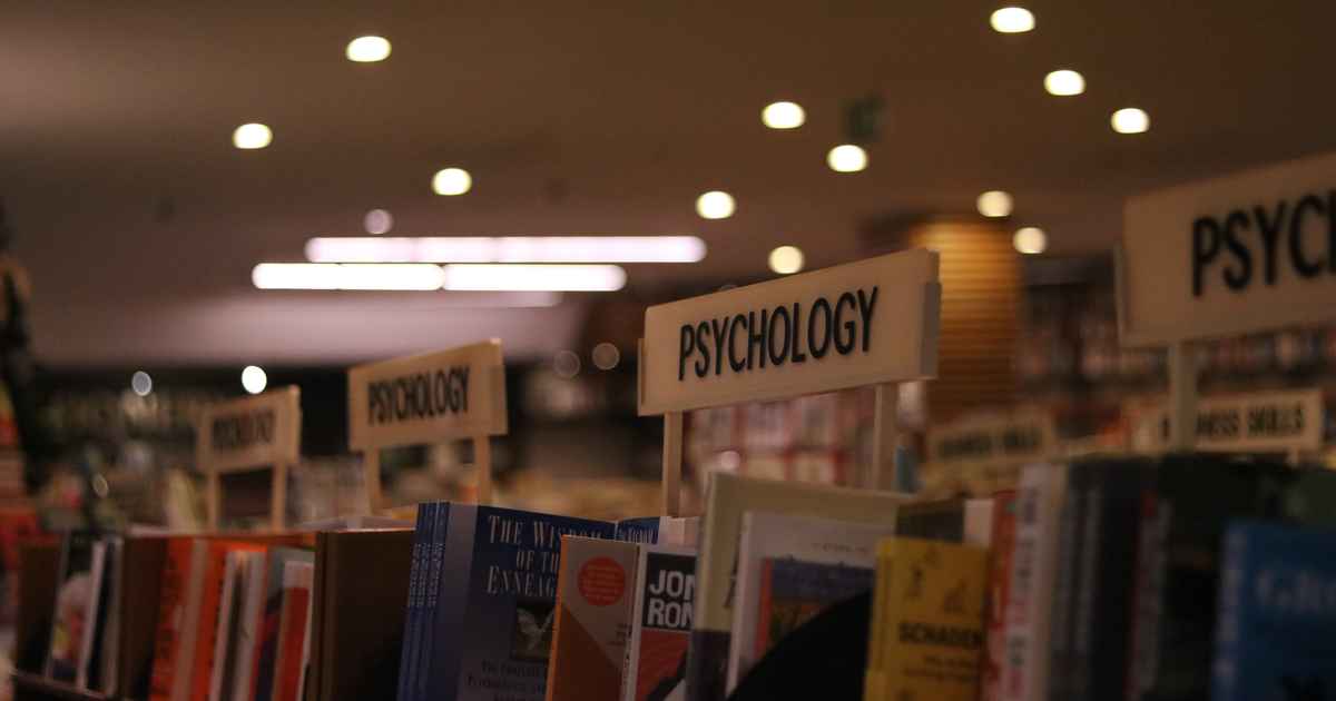 PsyRes receives outstanding evaluation in national and international review - Psychology ...